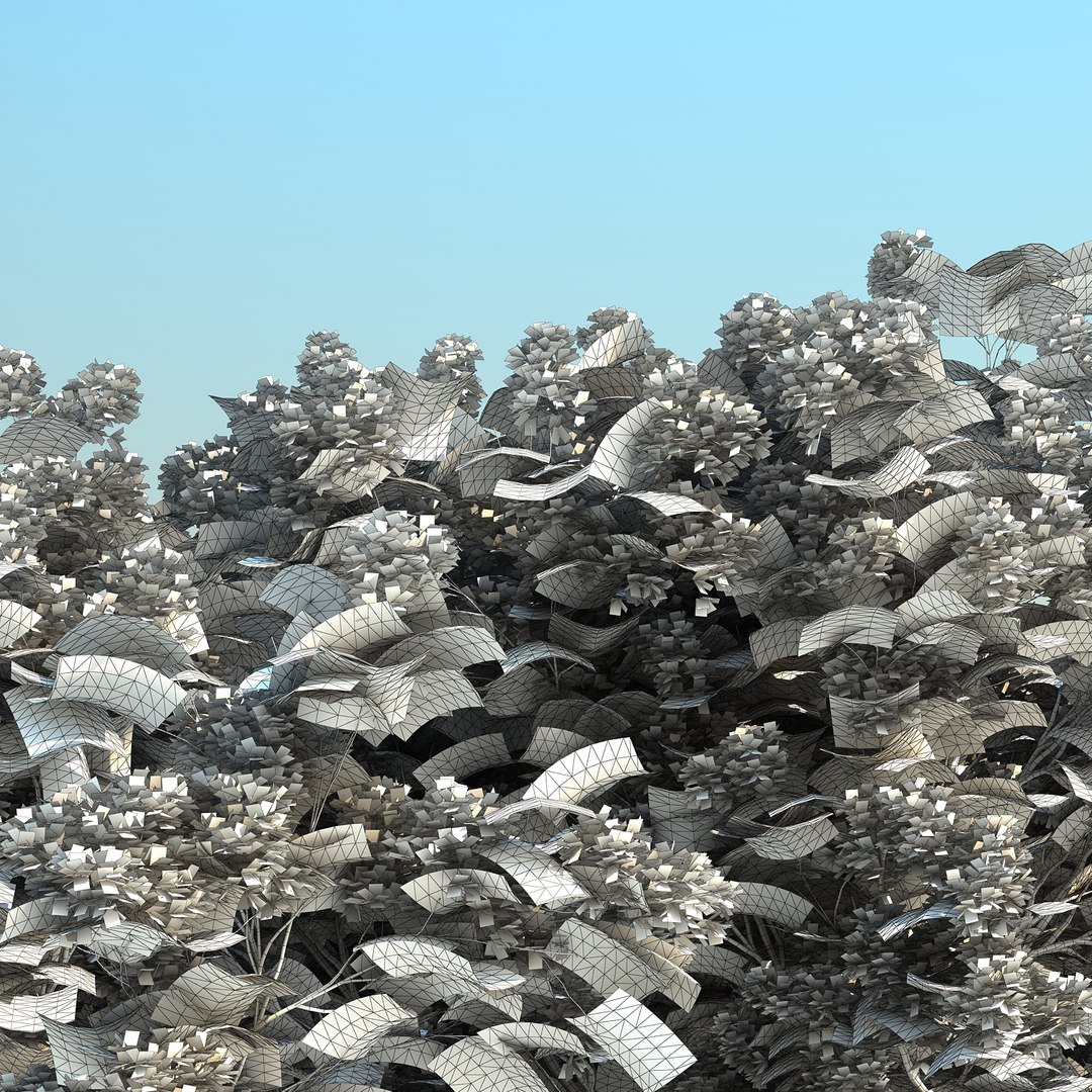 3d 2 Tree Flowers Model