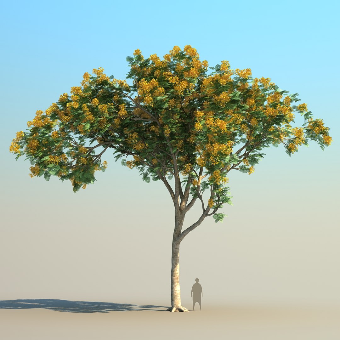 3d 2 Tree Flowers Model