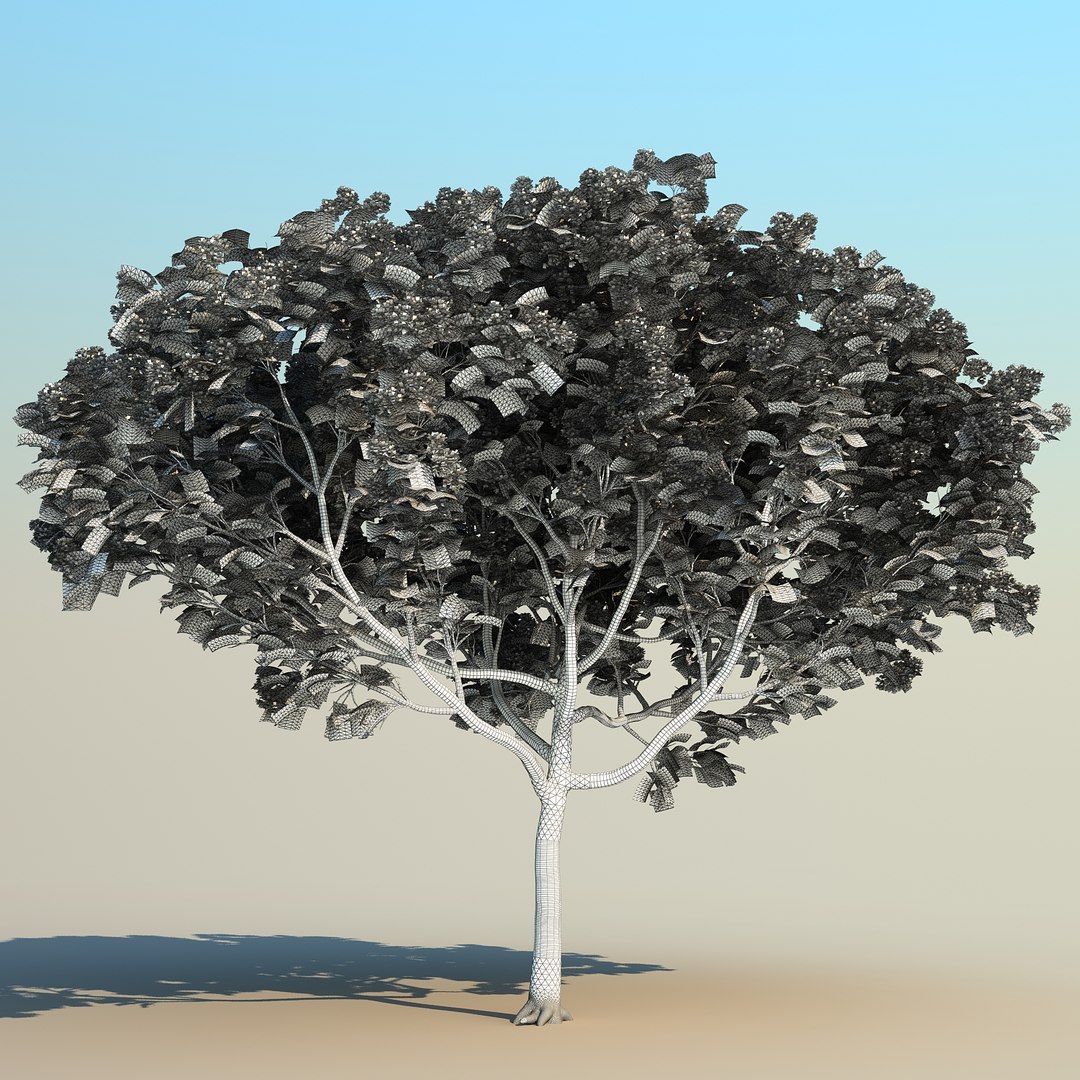 3d 2 Tree Flowers Model