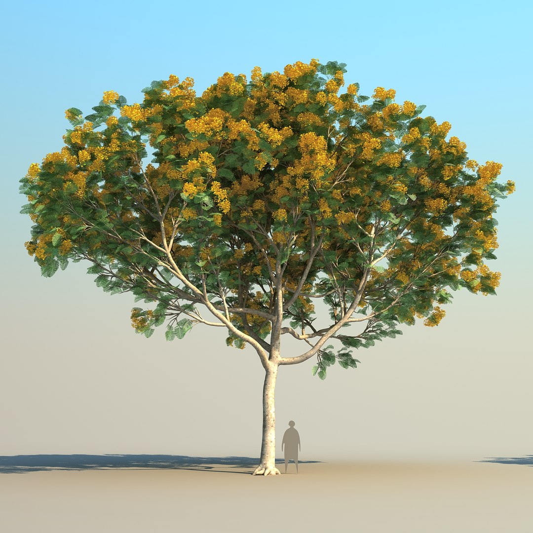 3d 2 Tree Flowers Model
