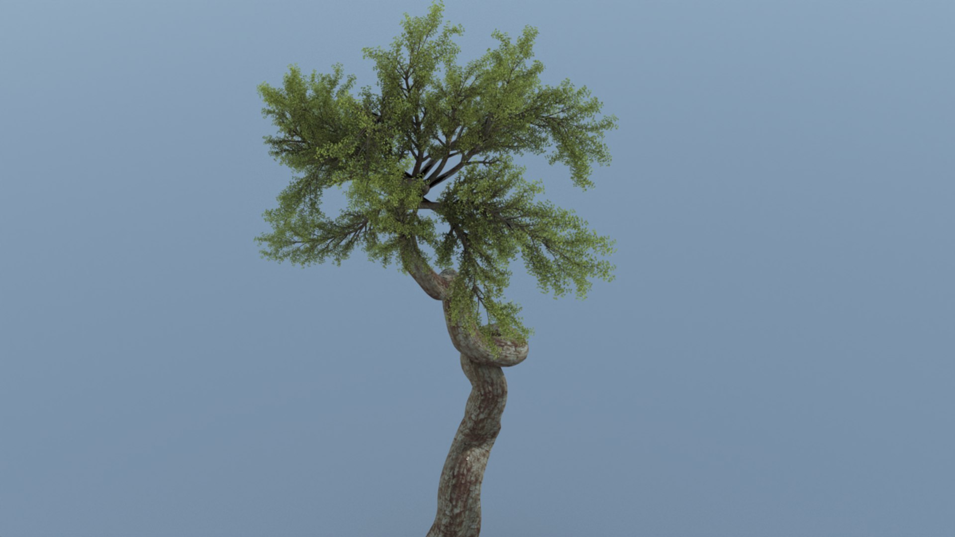 Long Tree 3D Model - TurboSquid 1612023