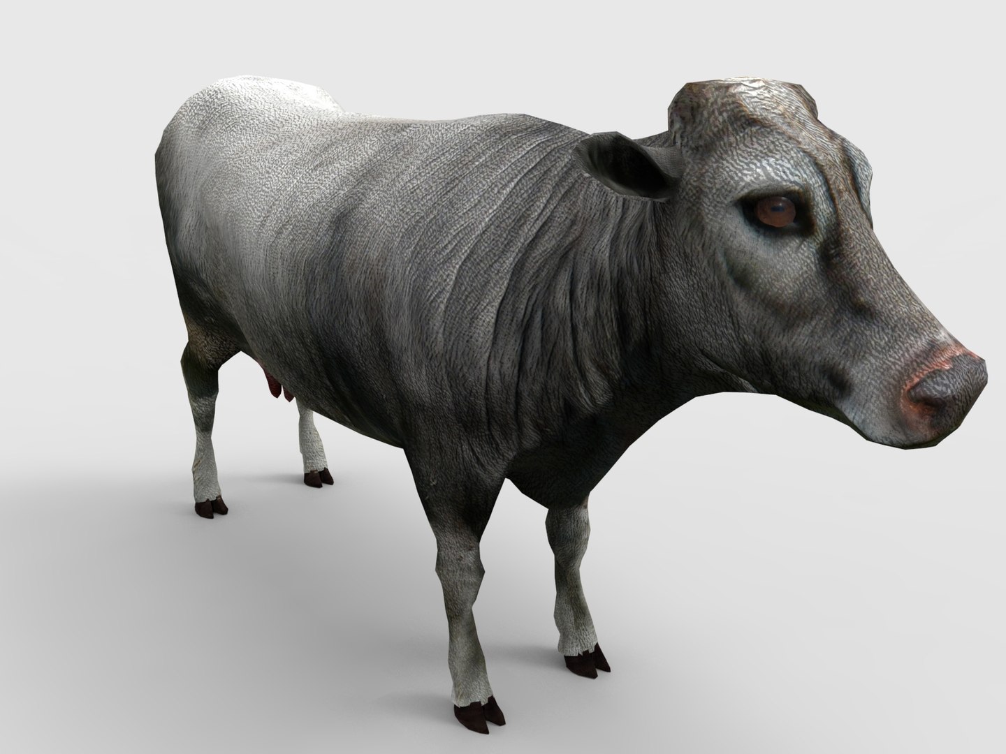 3D Cow Rigged Model - TurboSquid 1199586