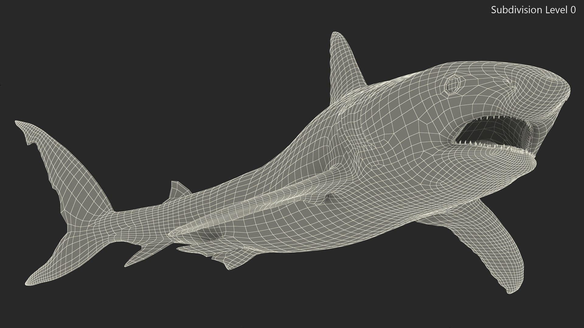 Caribbean Reef Shark Swimming model - TurboSquid 2140583