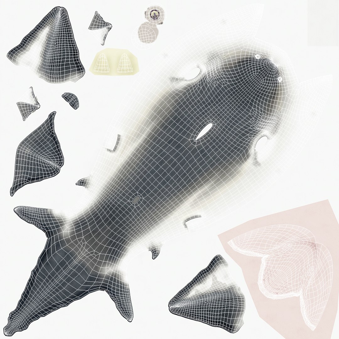Caribbean Reef Shark Swimming Model - TurboSquid 2140583