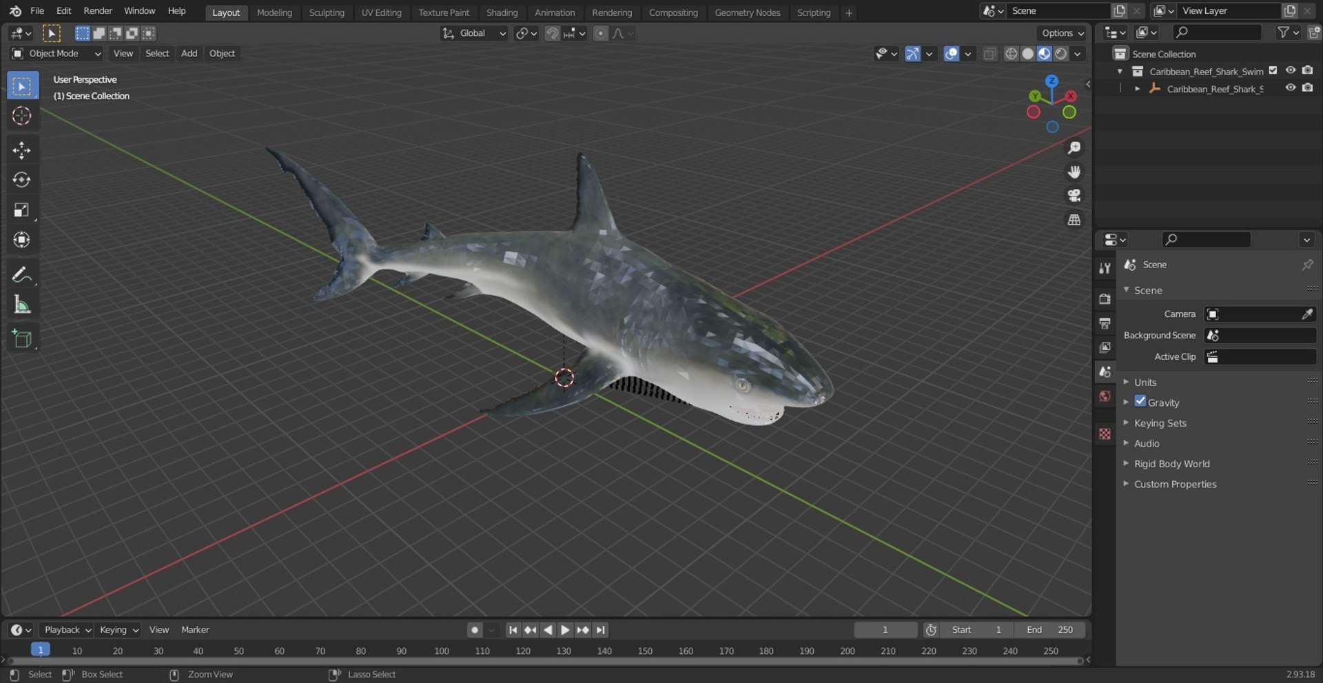 Caribbean Reef Shark Swimming model - TurboSquid 2140583
