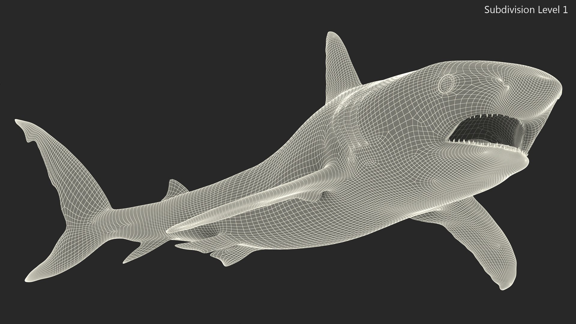 Caribbean Reef Shark Swimming model - TurboSquid 2140583