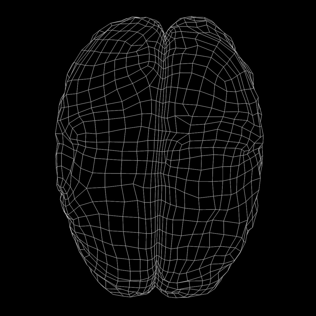 Human Brain Model - TurboSquid 1434480