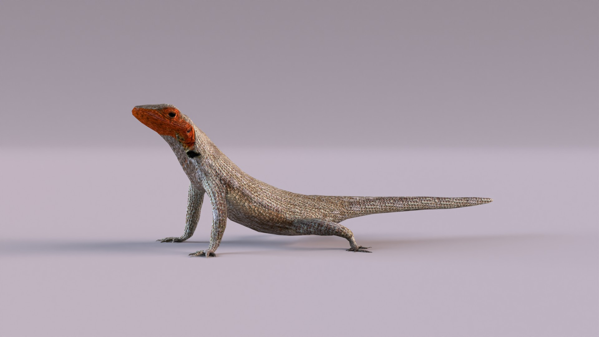 3D Lizard Lava Model - TurboSquid 1508360