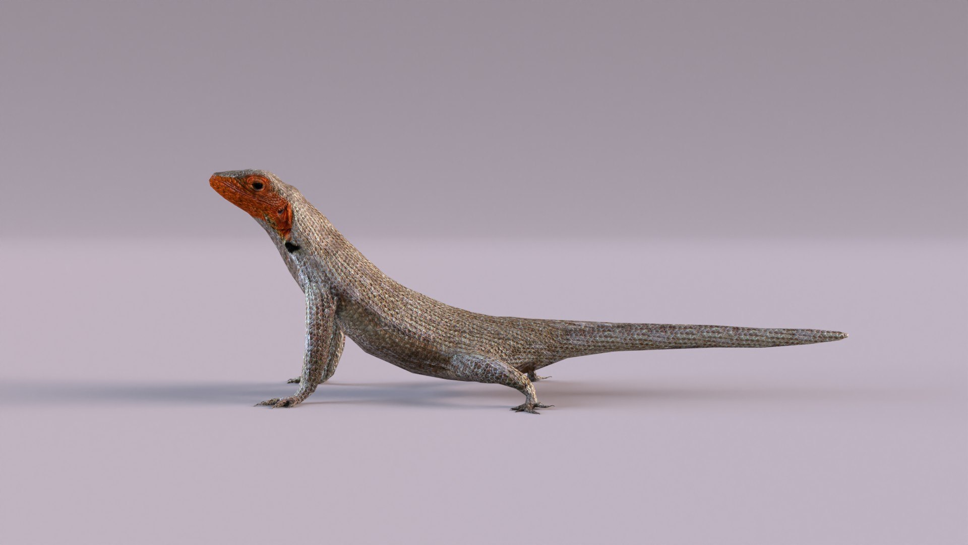 3D Lizard Lava Model - TurboSquid 1508360