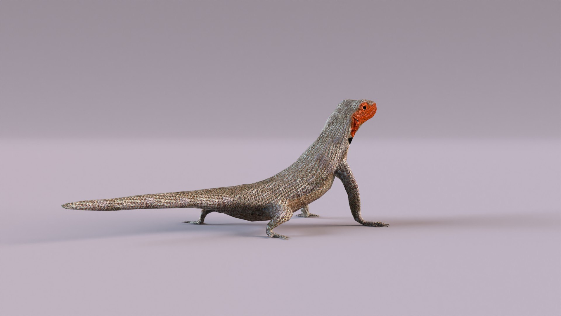 3D Lizard Lava Model - TurboSquid 1508360