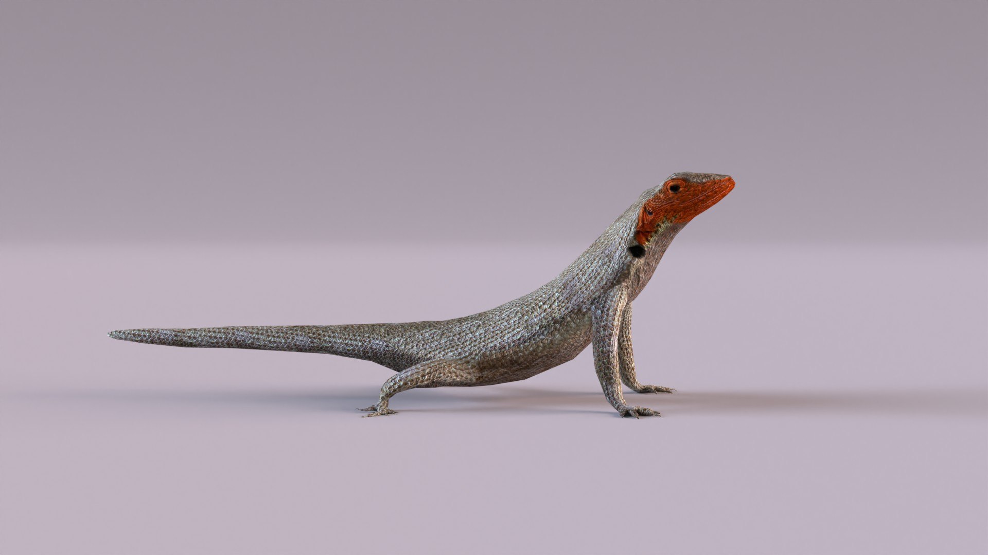 3D Lizard Lava Model - TurboSquid 1508360
