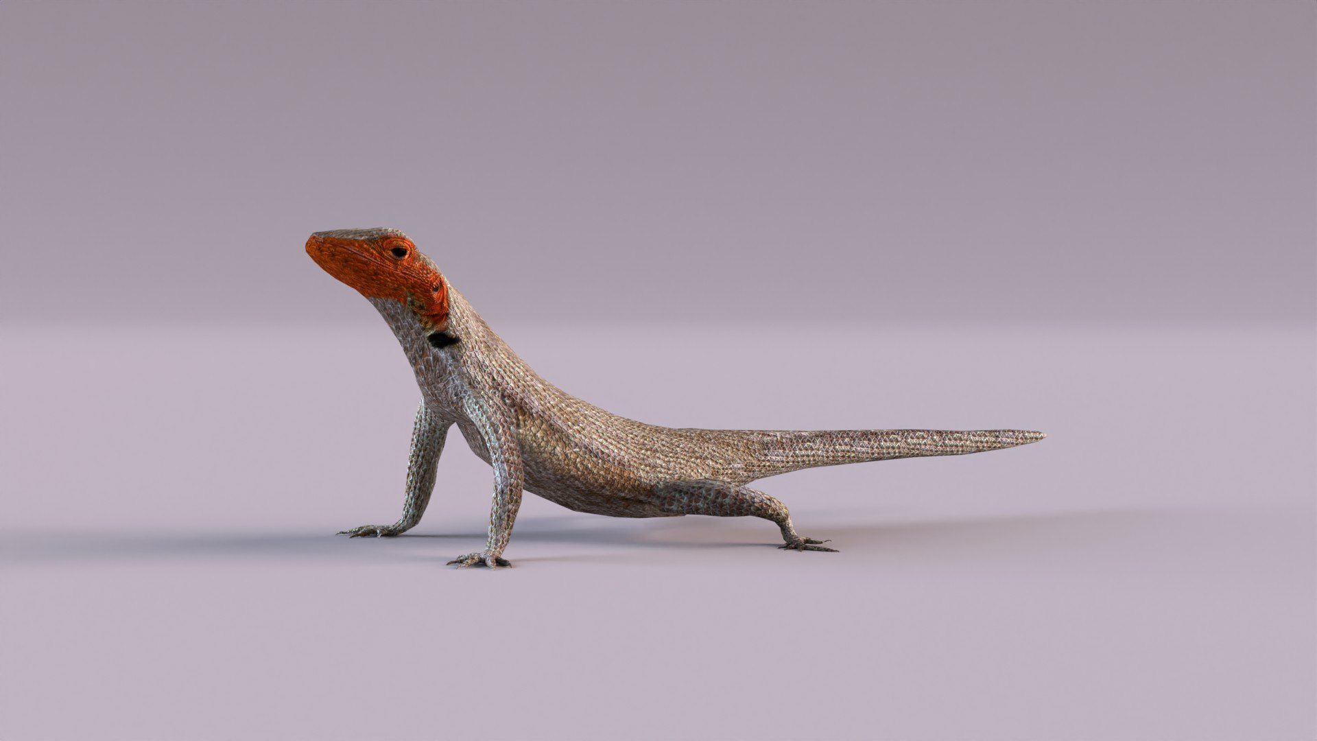 3D Lizard Lava Model - TurboSquid 1508360