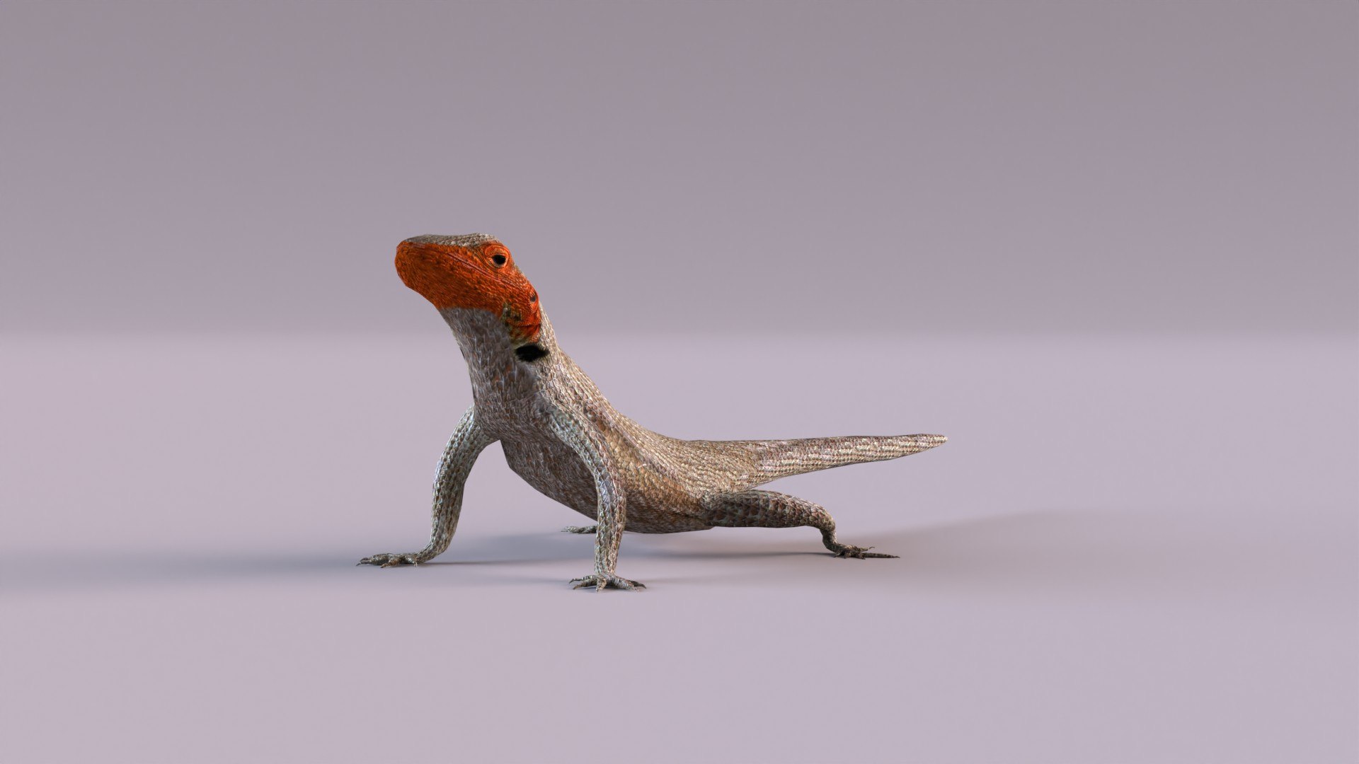 3D Lizard Lava Model - TurboSquid 1508360