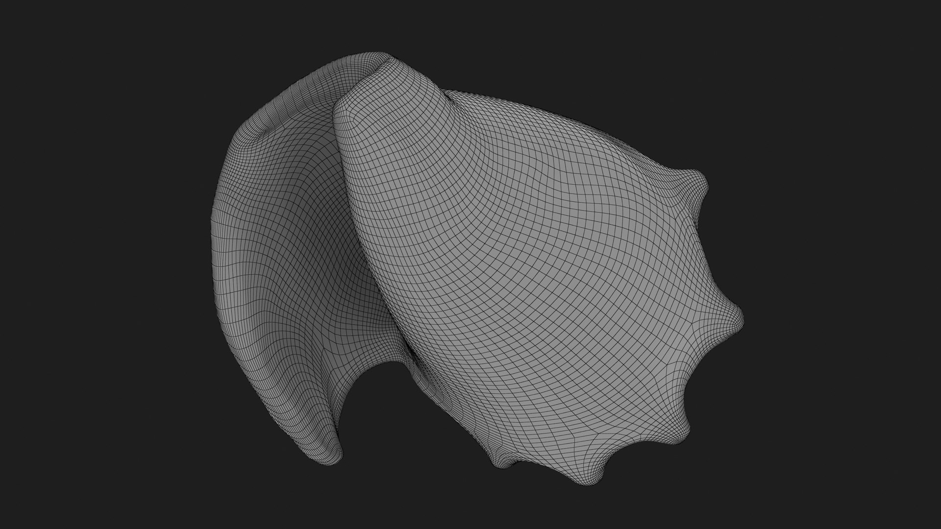 Strombus Alatus Model - TurboSquid 2219210
