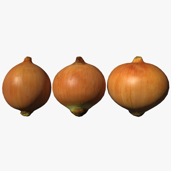 Onion scan 3D model | 1142528 | TurboSquid