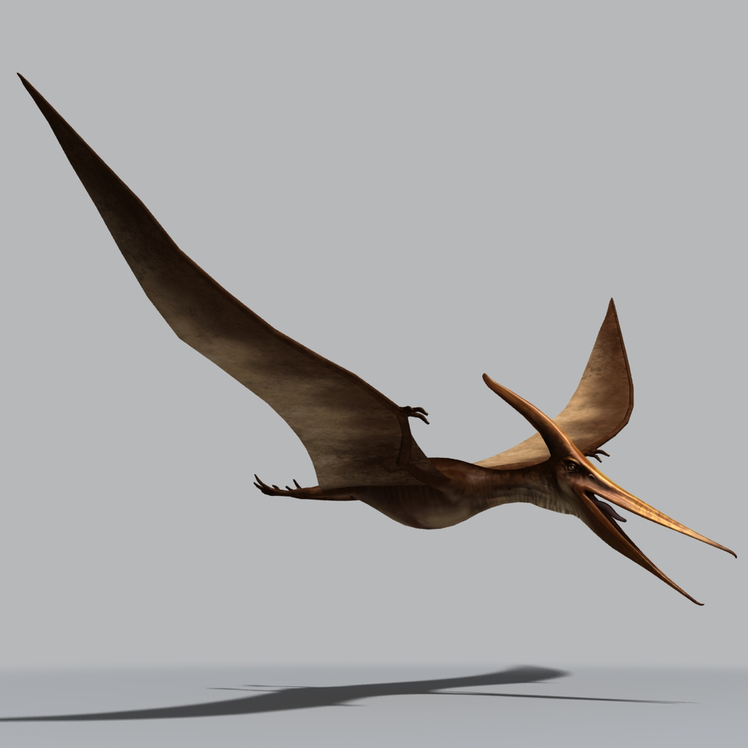 max pterosaur wings dinosaur