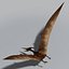 max pterosaur wings dinosaur