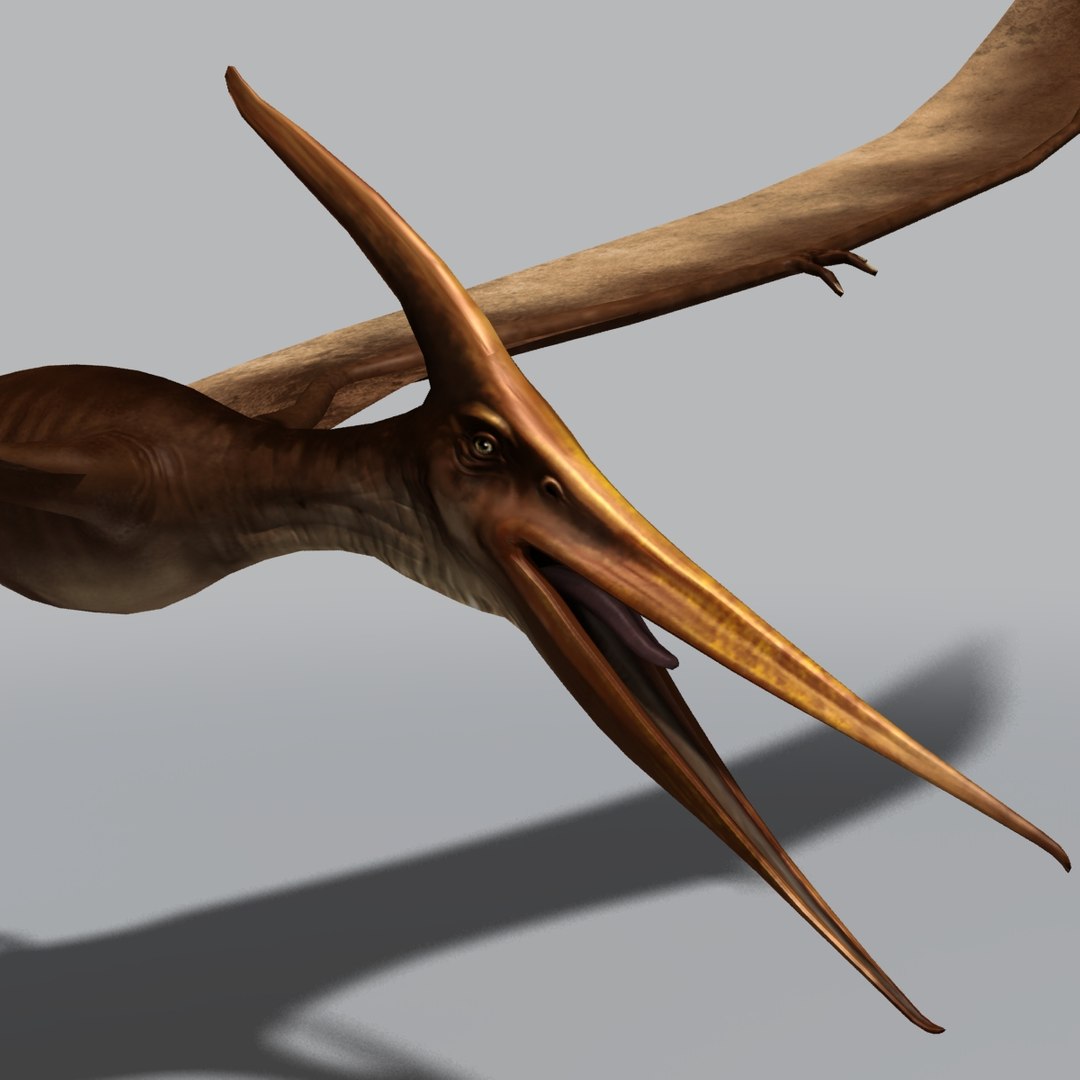 max pterosaur wings dinosaur