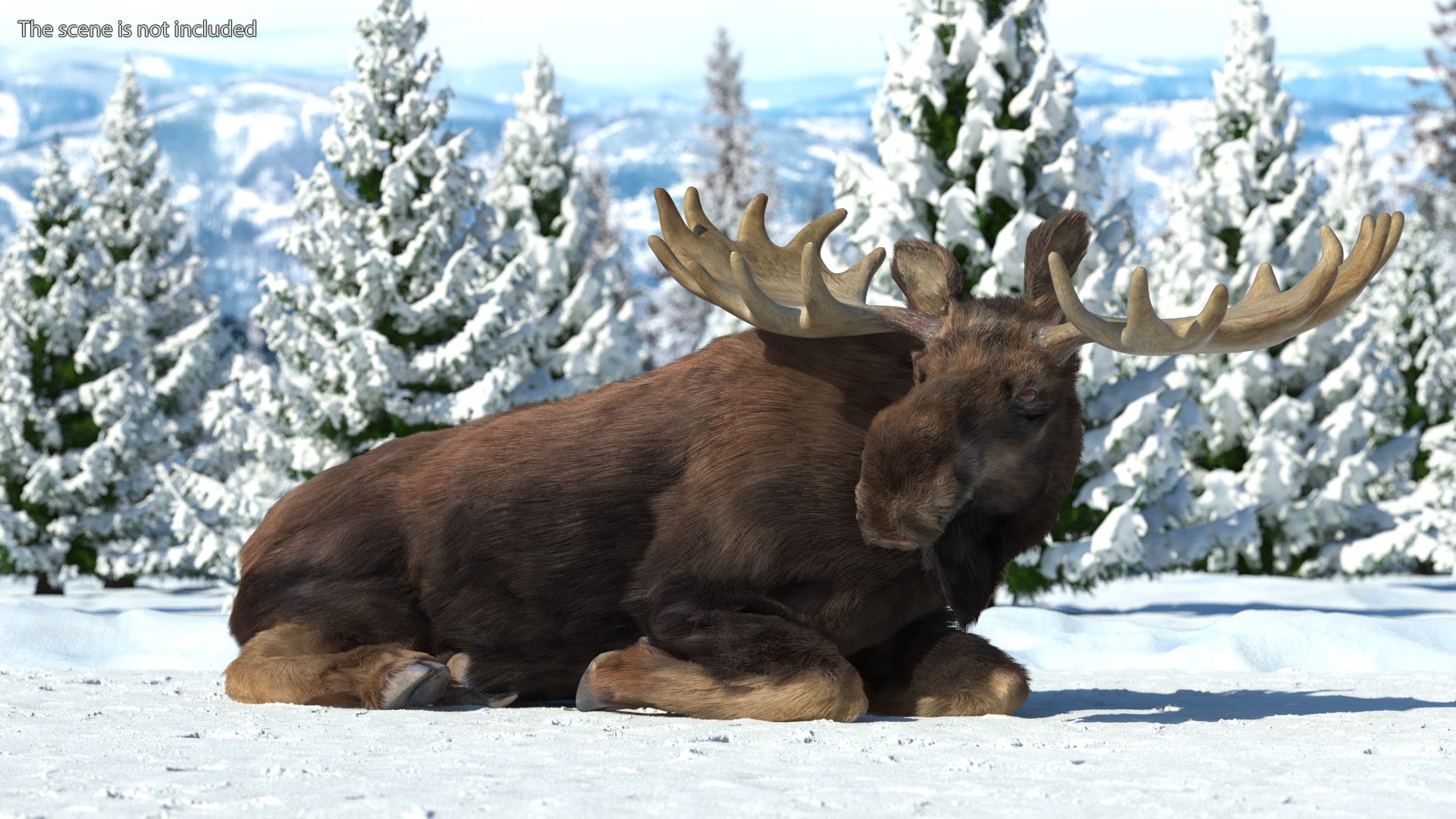 3D Model Moose Fur Rigged - TurboSquid 2091360