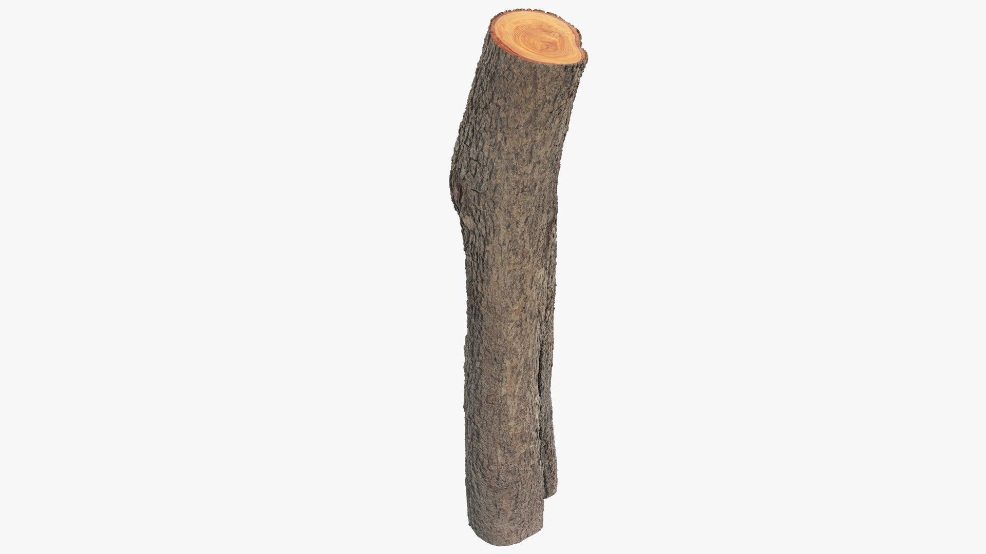 3D Logs Collection V1 model - TurboSquid 2109328
