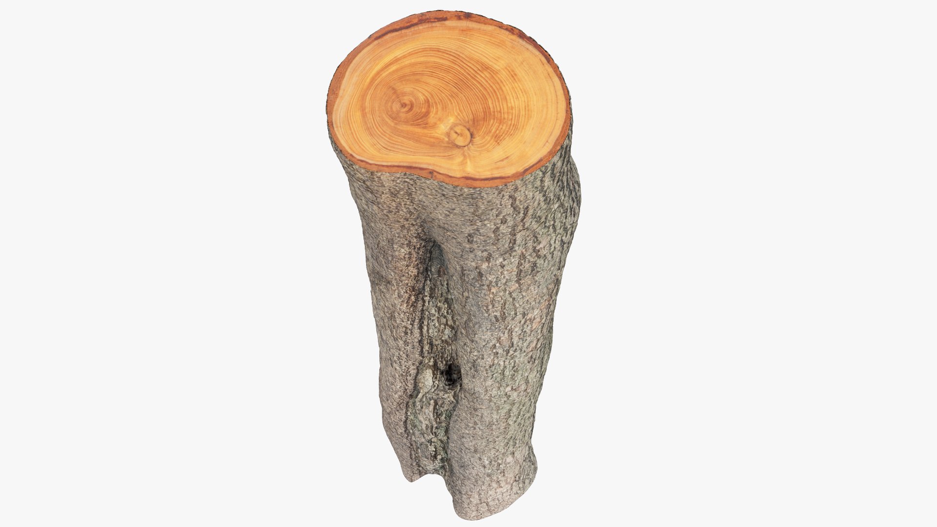 3D Logs Collection V1 model - TurboSquid 2109328