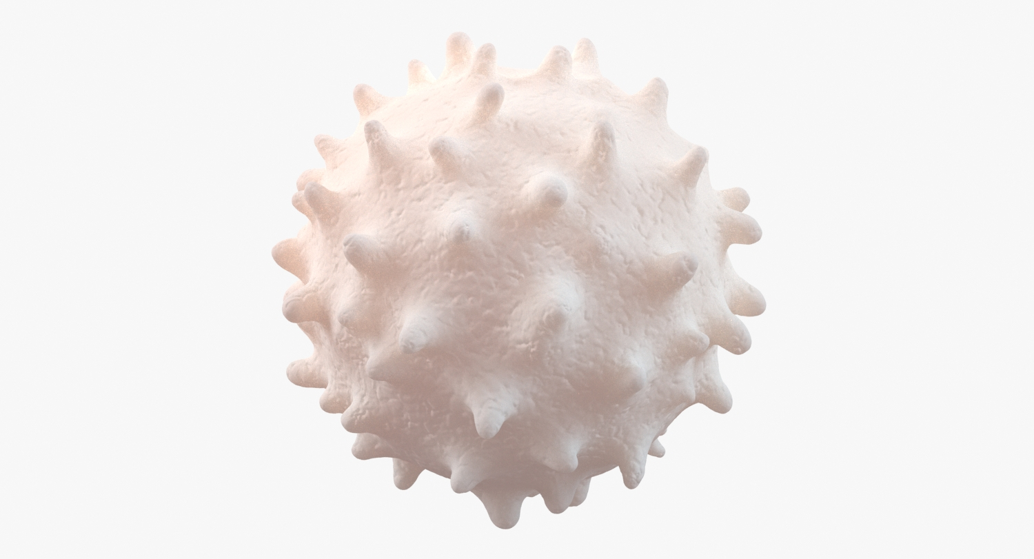 White blood cell 3D model - TurboSquid 1317493