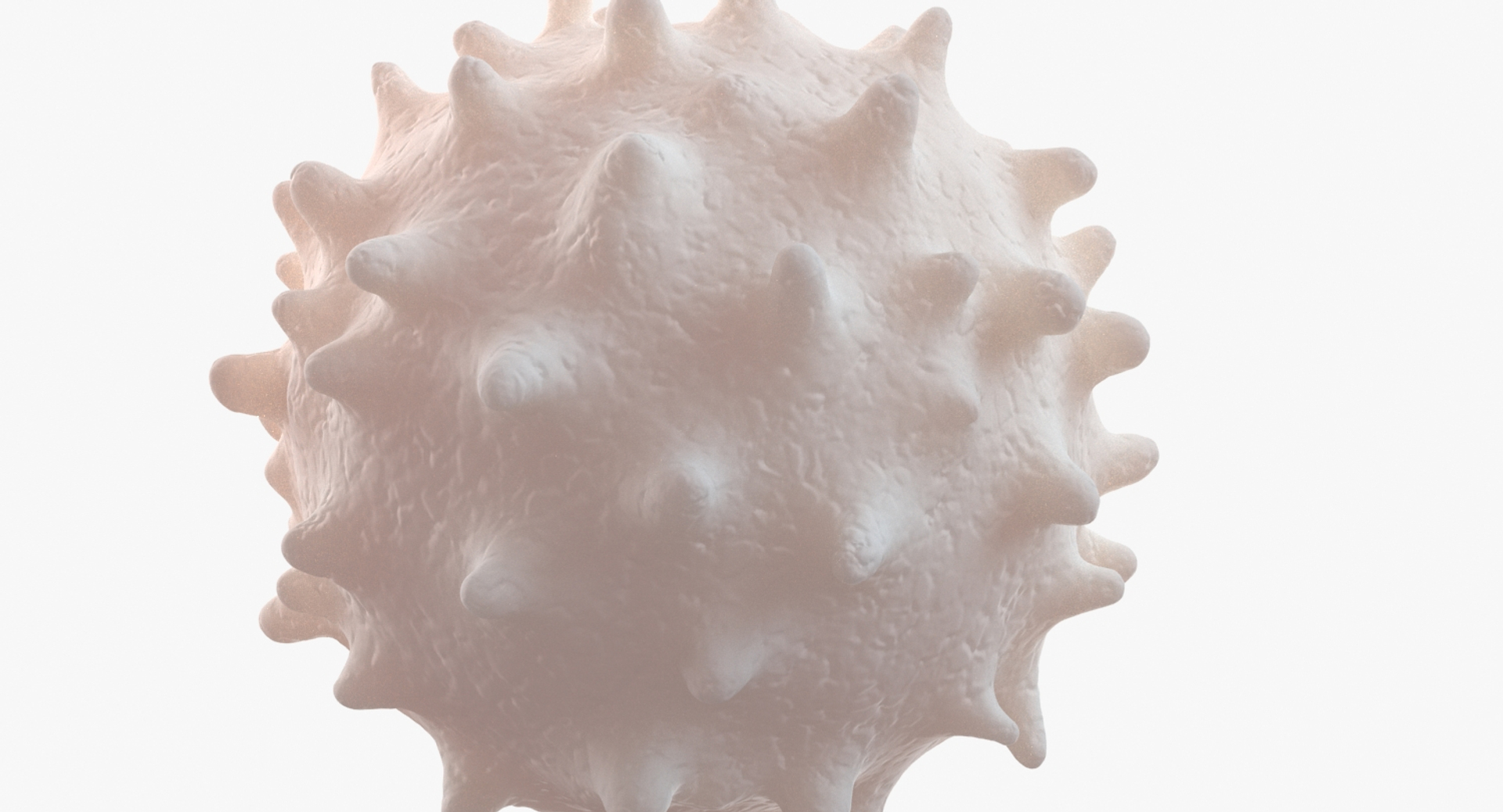 White blood cell 3D model - TurboSquid 1317493