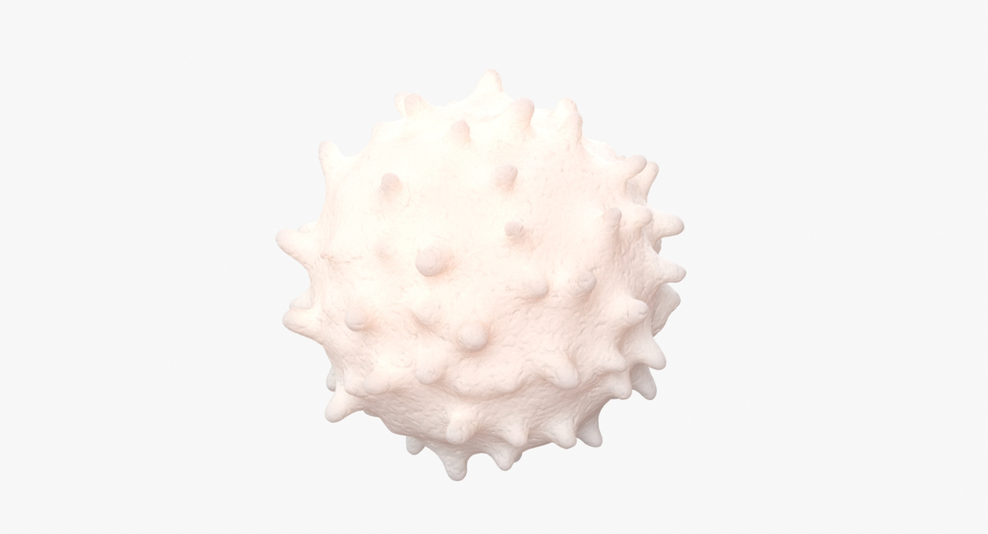 White blood cell 3D model - TurboSquid 1317493