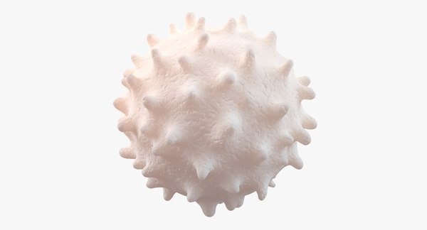 White blood cell 3D model - TurboSquid 1317493
