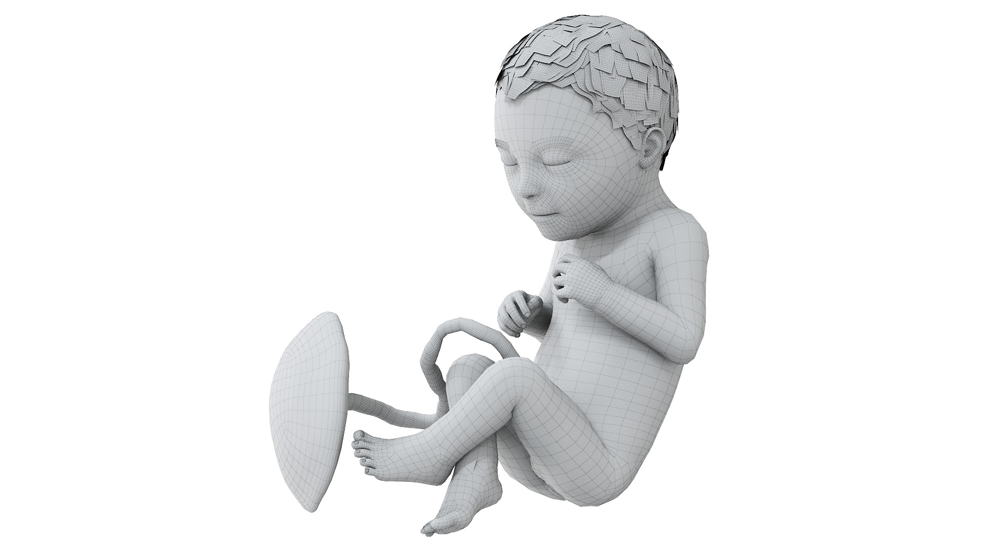 3D model Fetus Week 30 Animated - TurboSquid 1853684