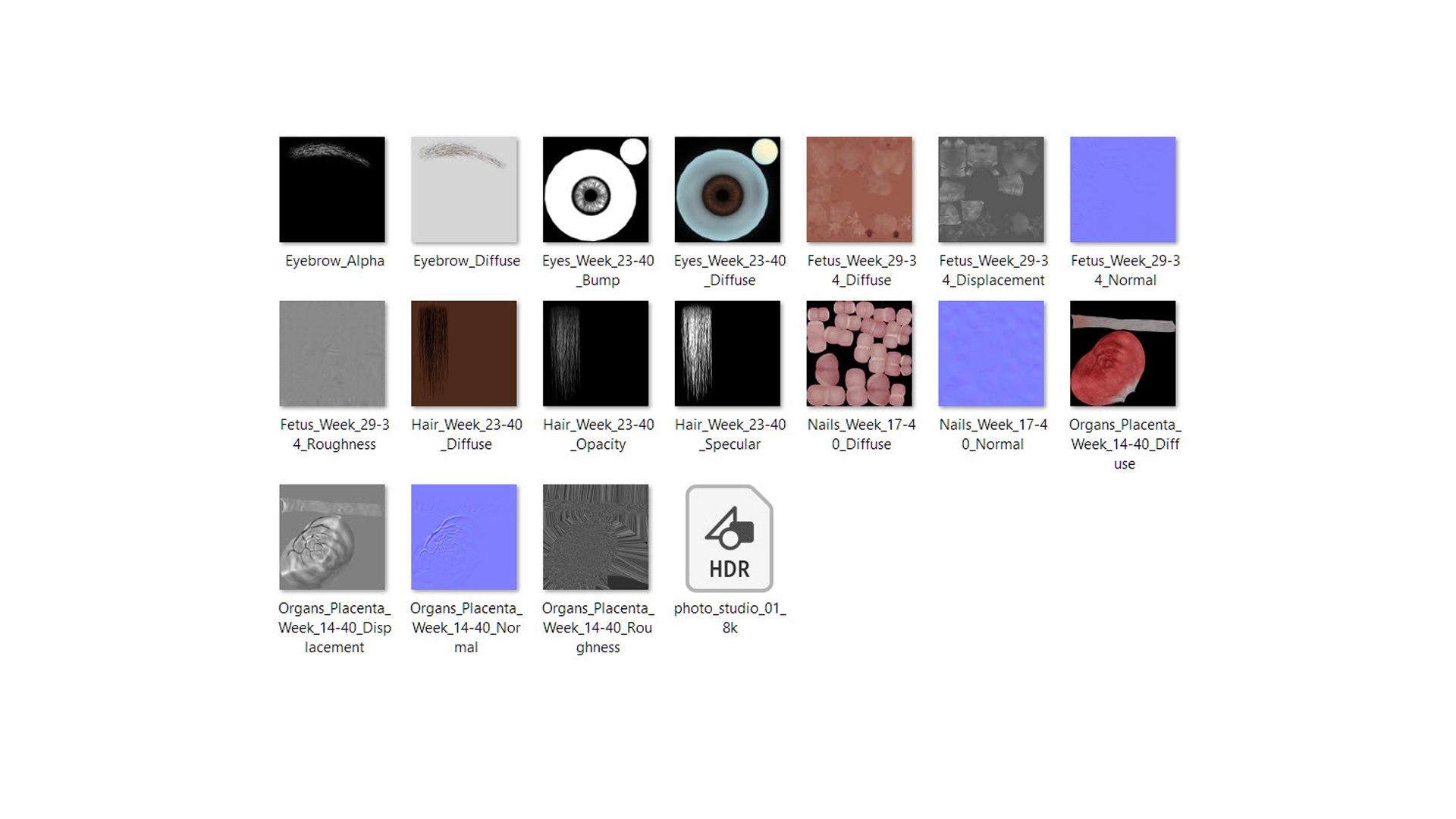 3D Model Fetus Week 30 Animated - TurboSquid 1853684