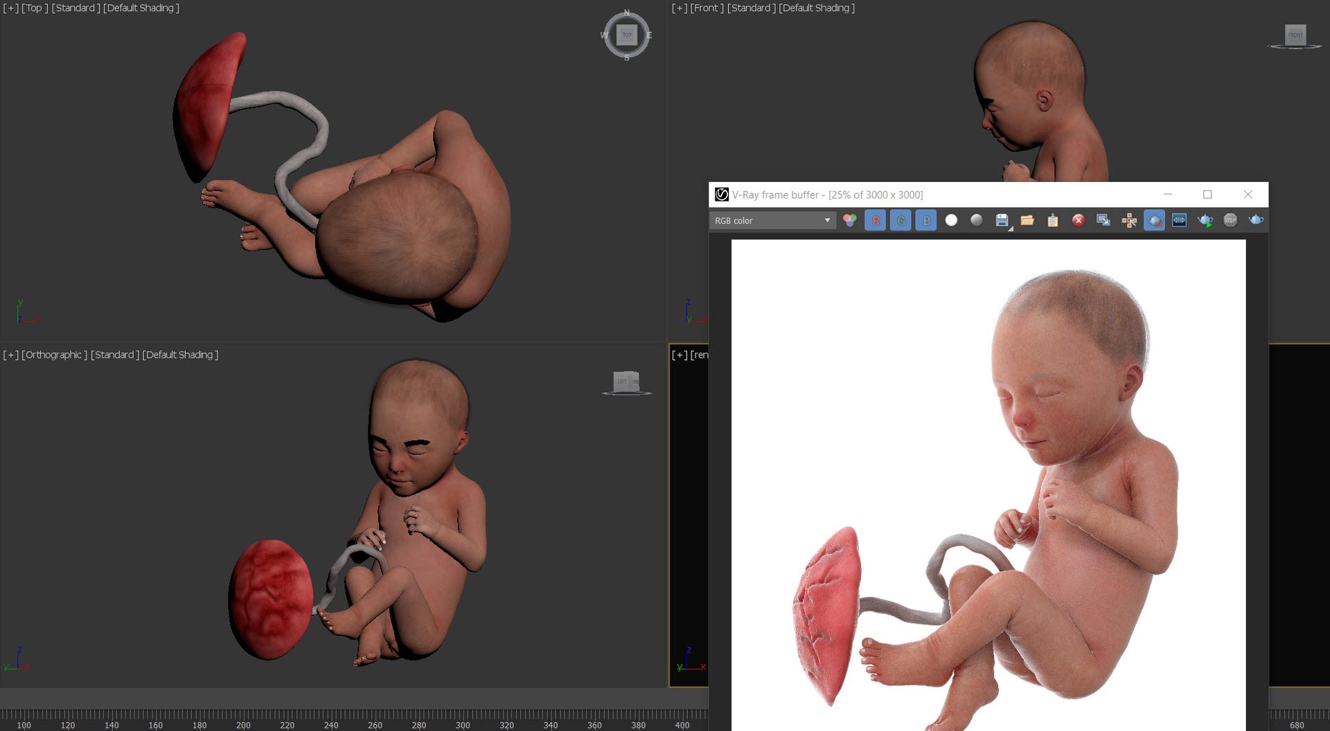 3D Model Fetus Week 30 Animated - TurboSquid 1853684