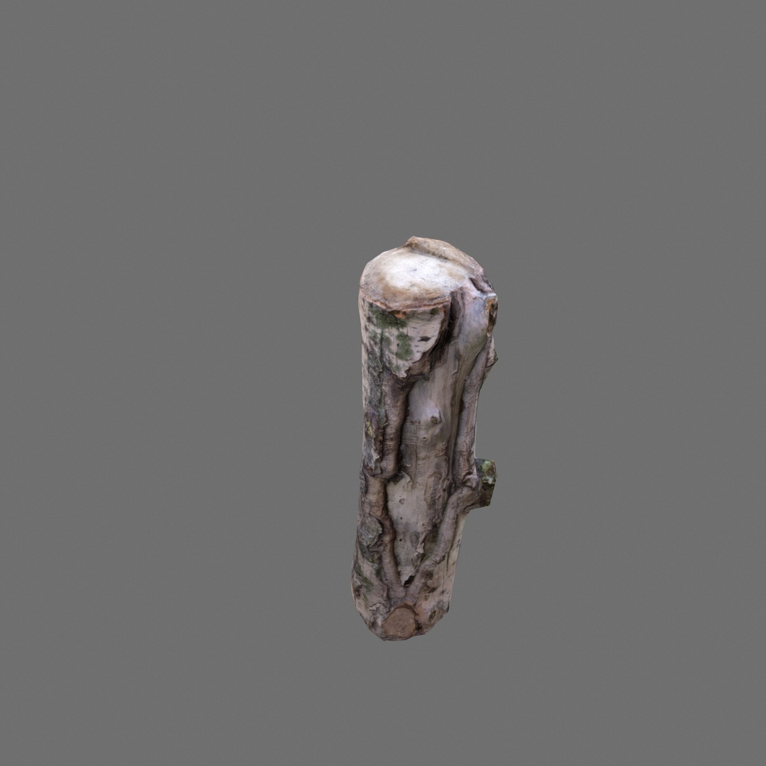 Log Model - TurboSquid 1293075