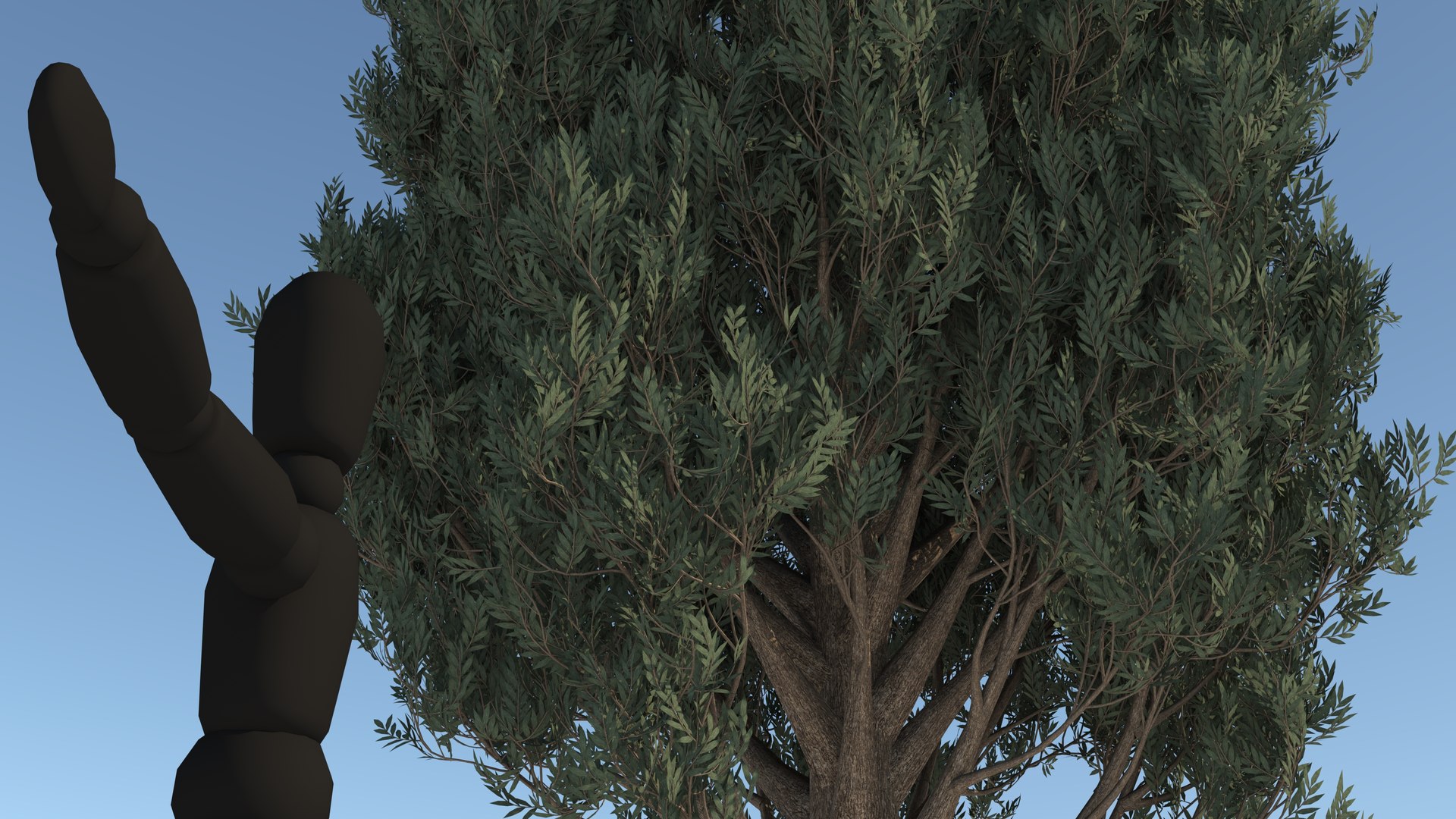 3D Cypress Oak Tree Model - TurboSquid 1671705