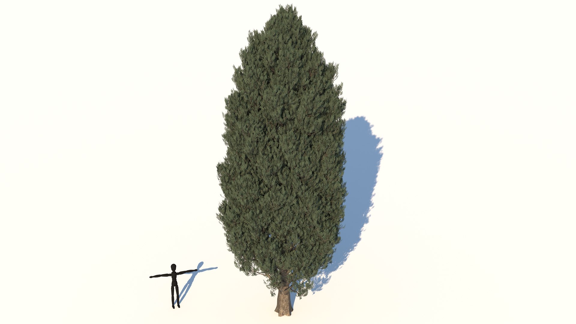 3D Cypress Oak Tree Model - TurboSquid 1671705