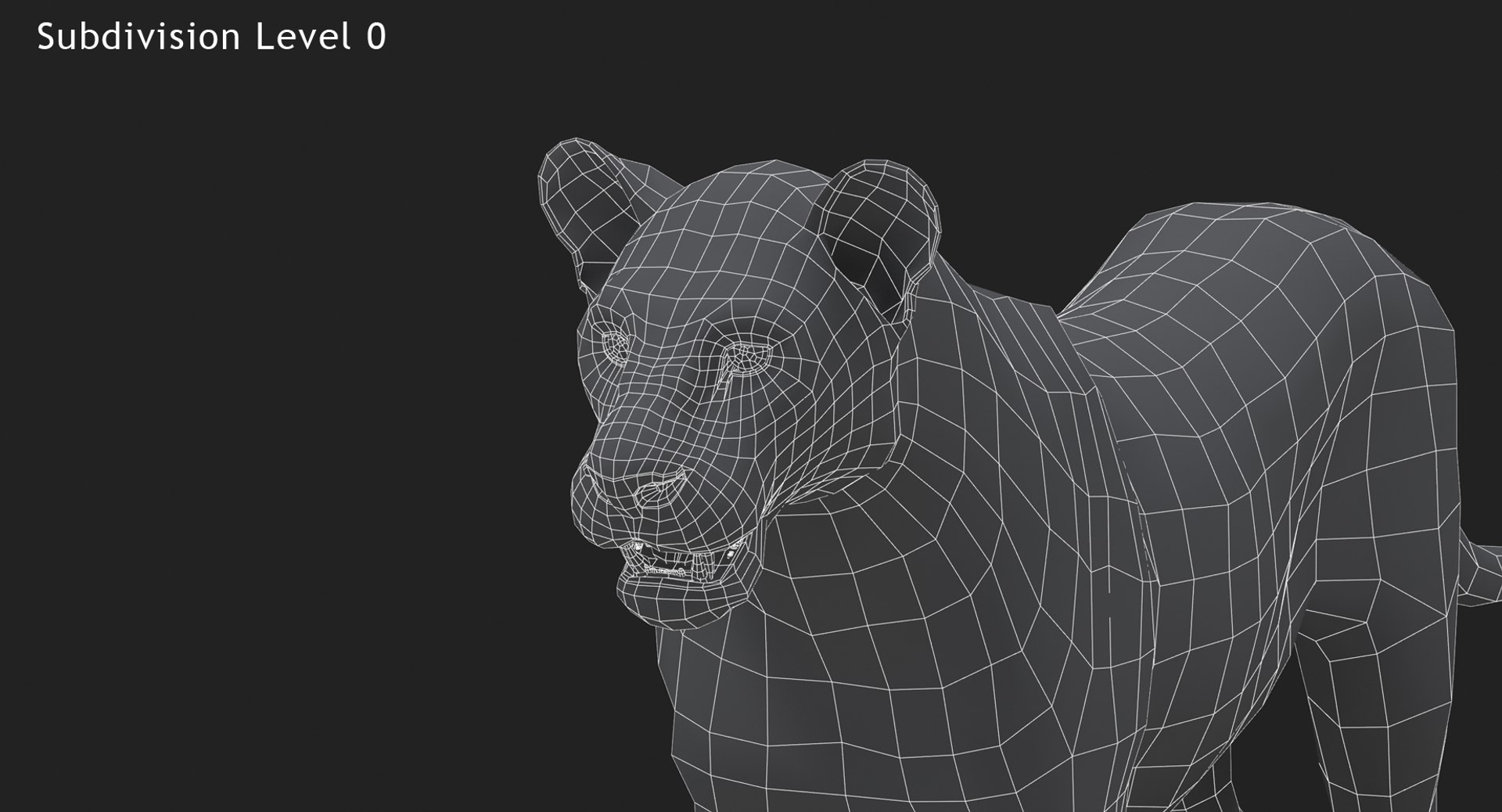 3d Lioness Lion Rigging Animation