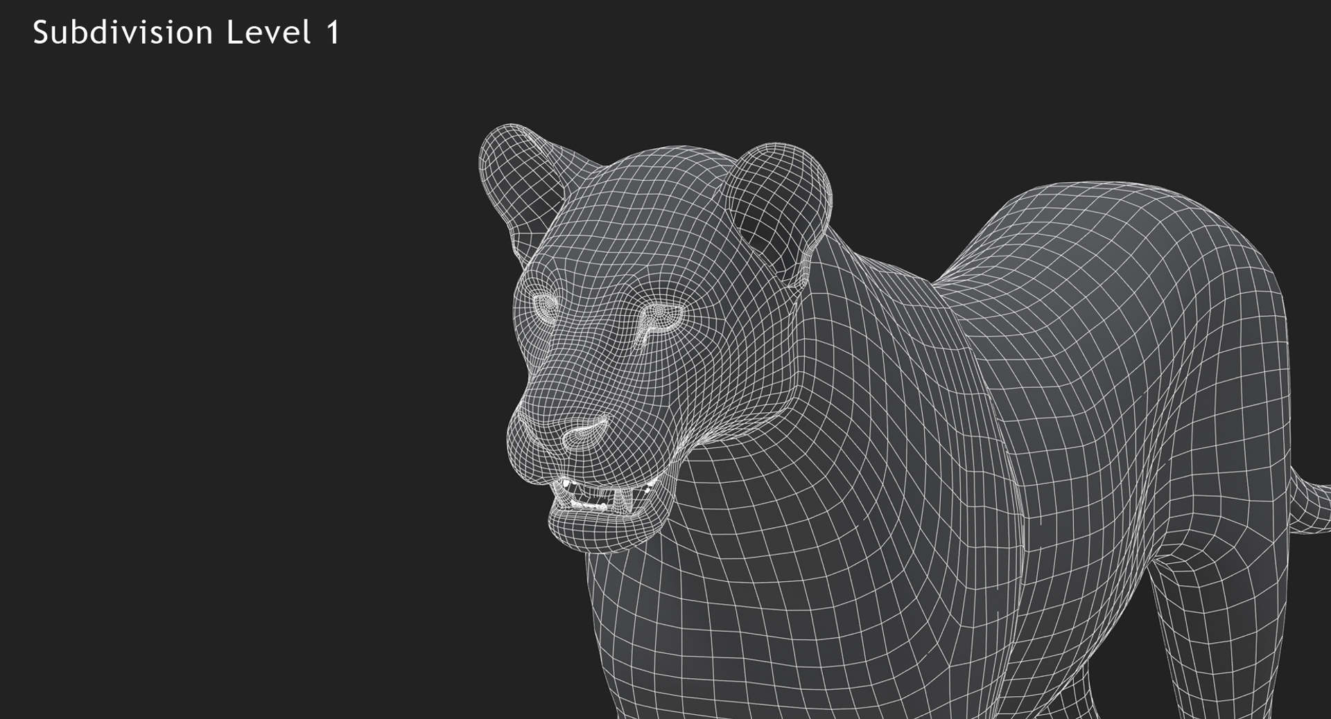 3d lioness lion rigging animation