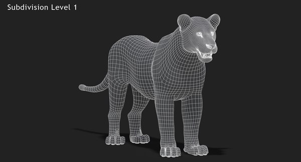 3d lioness lion rigging animation