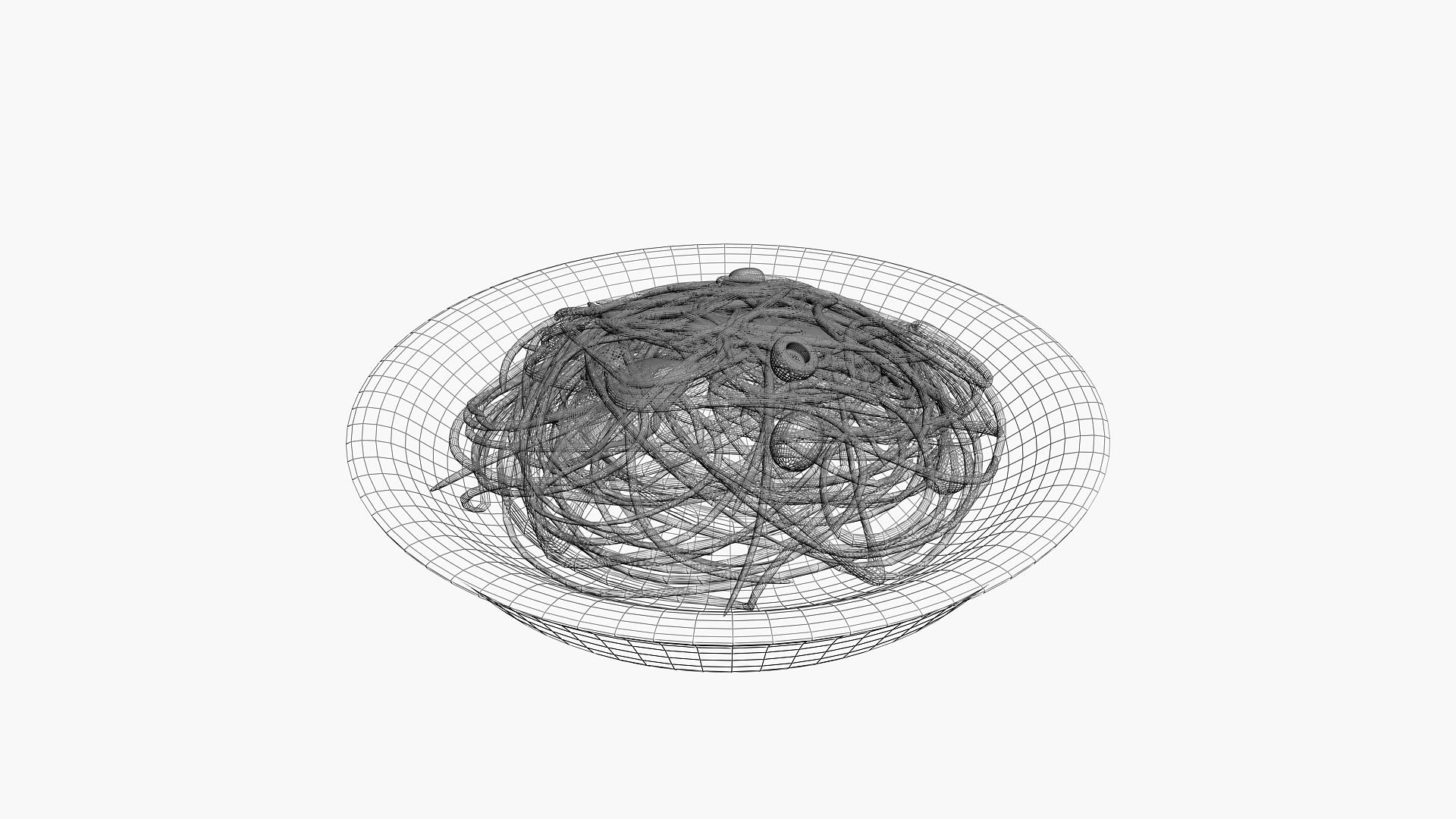 3D Model Spaghetti Alla Puttanesca - TurboSquid 2196528