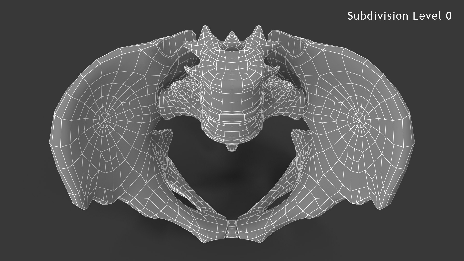 Pelvis Male Skeleton Model - TurboSquid 1657269