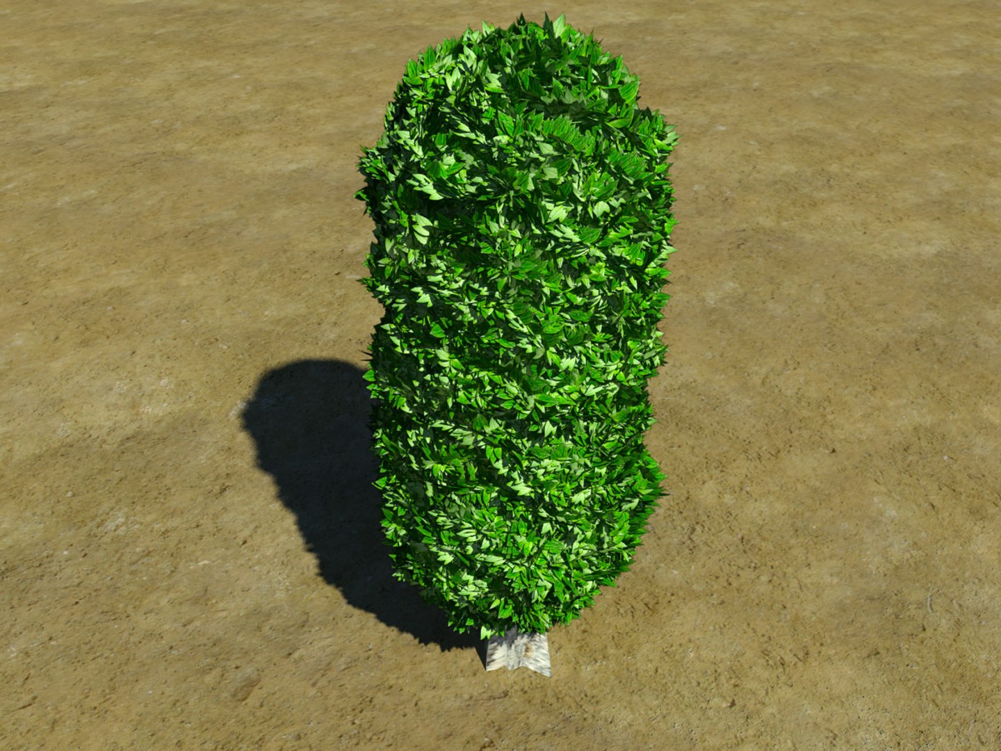 Free Max Model Shrub Bush
