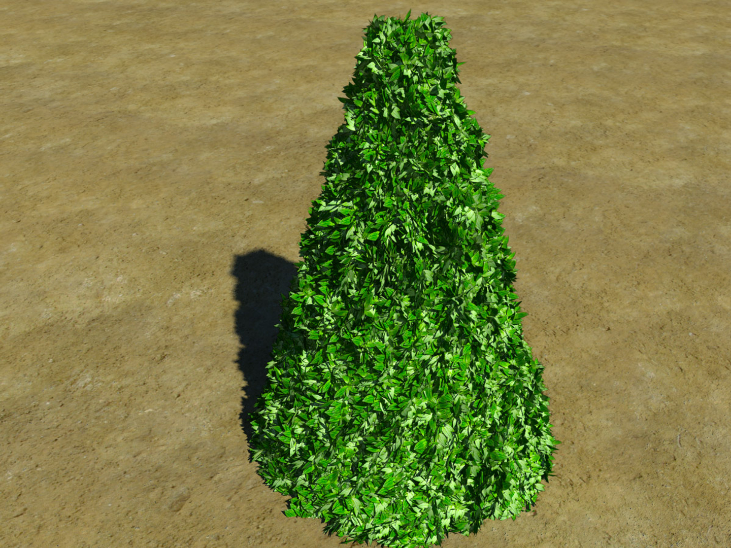 free max model shrub bush