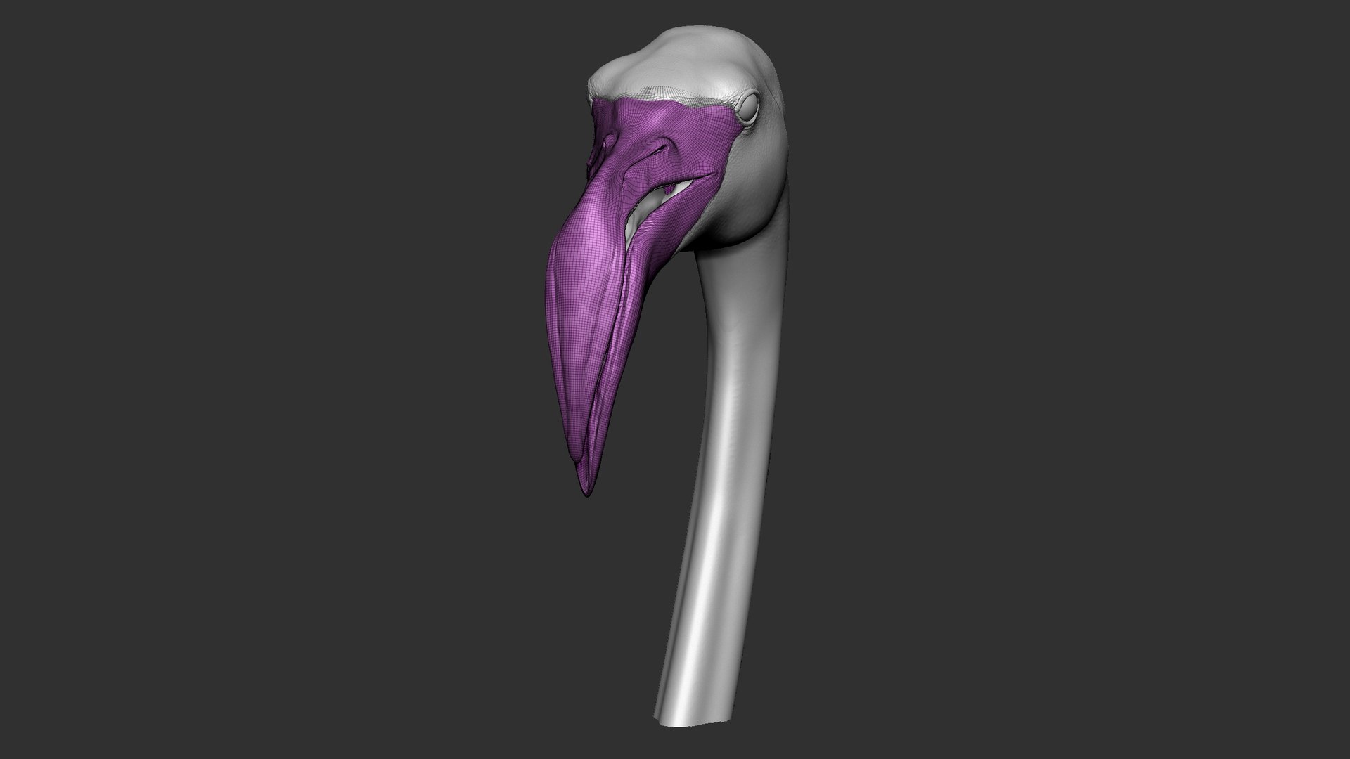 3D Model Flamingo Head - TurboSquid 1839305