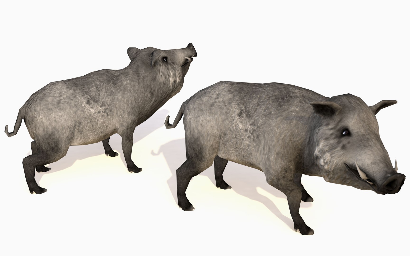 Wild Boar Animations 3D Model - TurboSquid 1653280