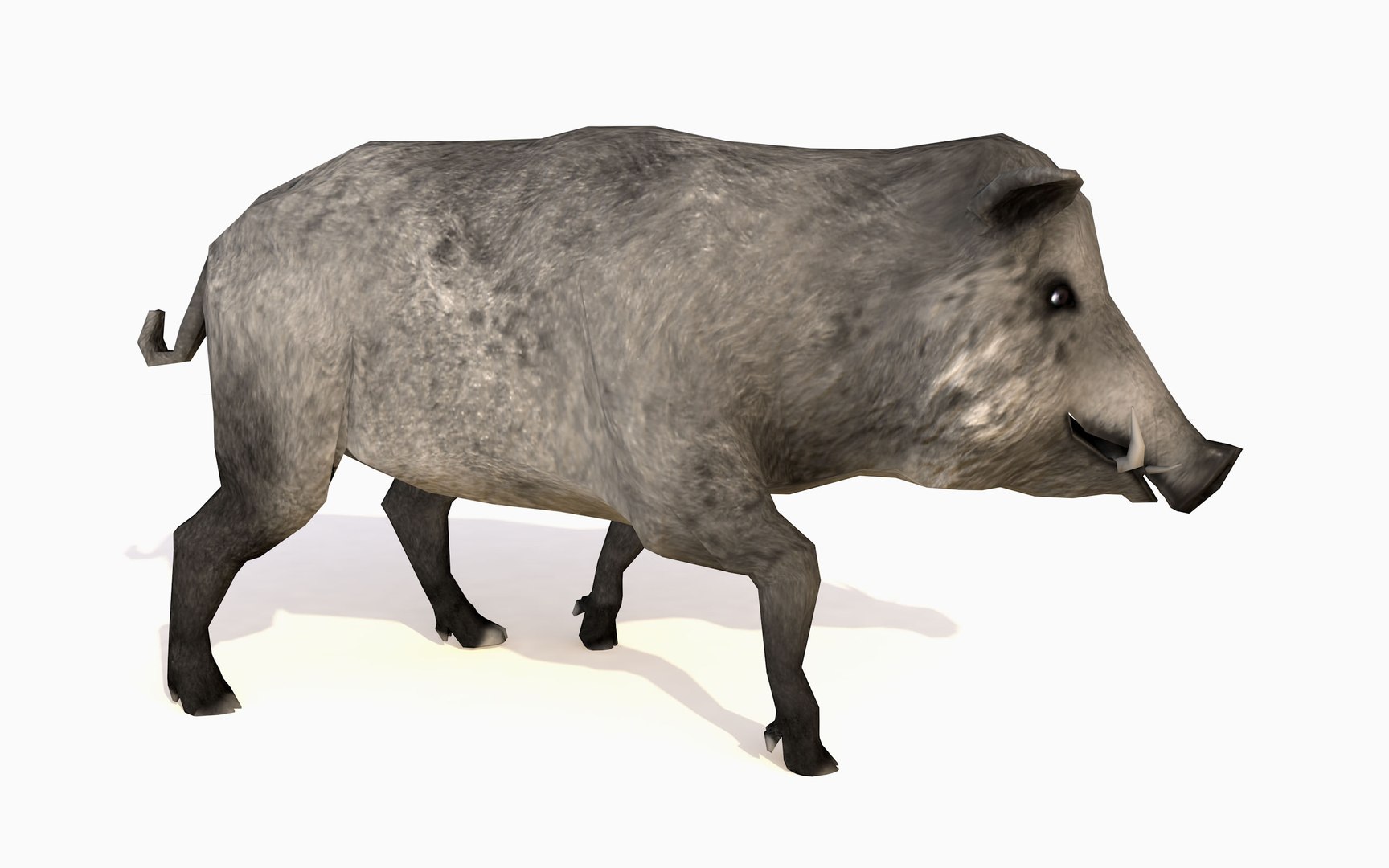 Wild Boar Animations 3D Model - TurboSquid 1653280