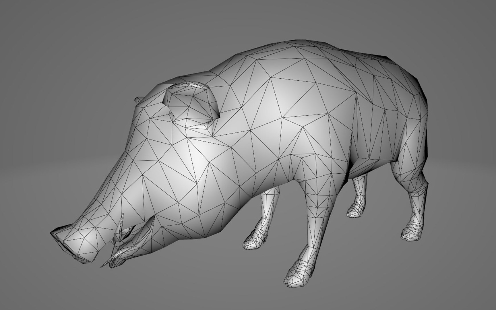 Wild Boar Animations 3D Model - TurboSquid 1653280