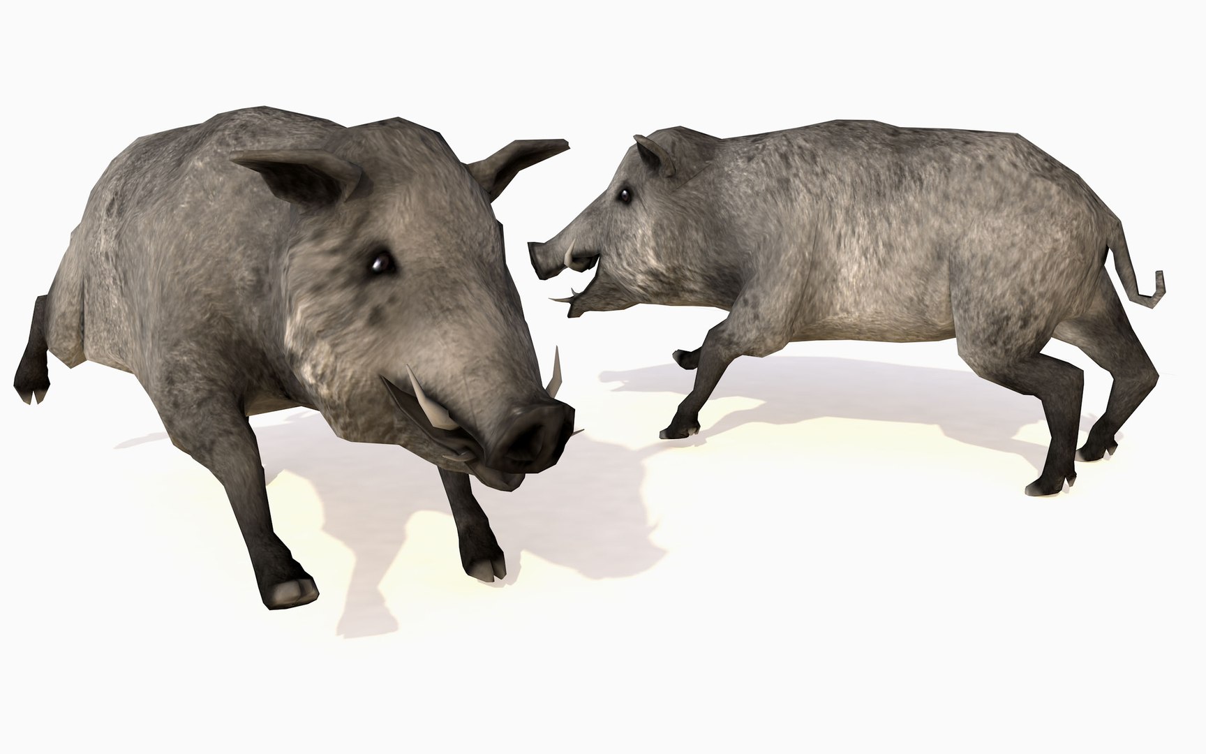 Wild Boar Animations 3D Model - TurboSquid 1653280