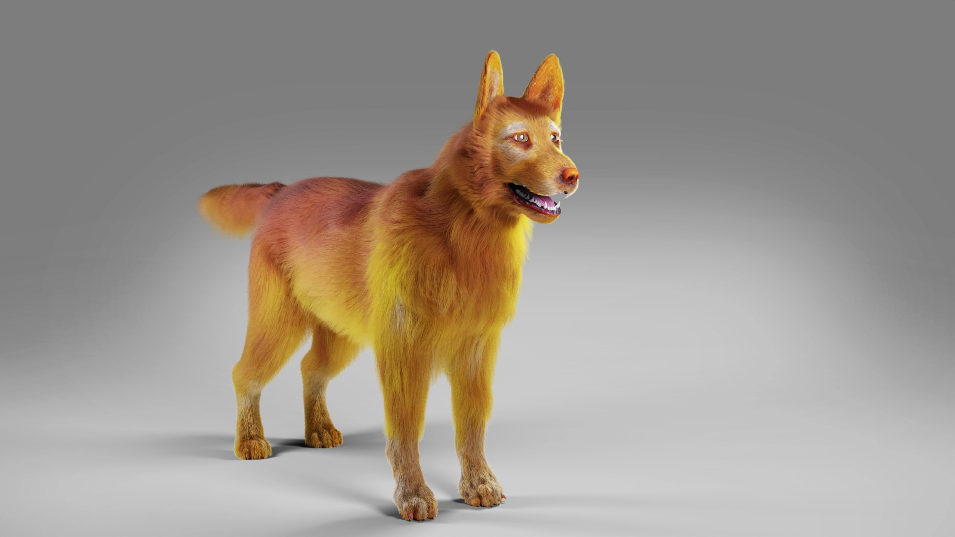 Fur Red Dog No Rigged 3D Model - TurboSquid 1921395