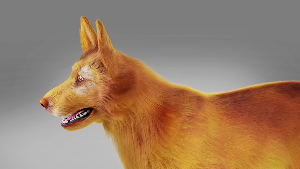 Fur Red Dog No Rigged3Dモデル - TurboSquid 1921395