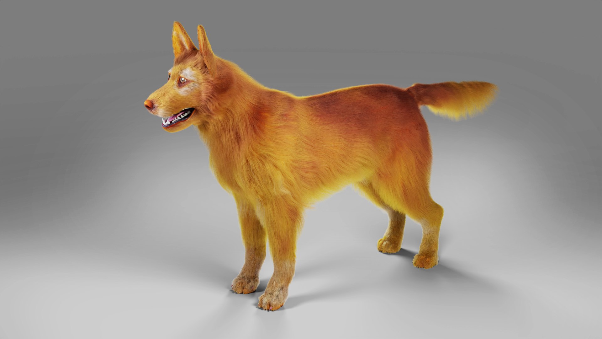 Fur Red Dog No Rigged 3D Model - TurboSquid 1921395